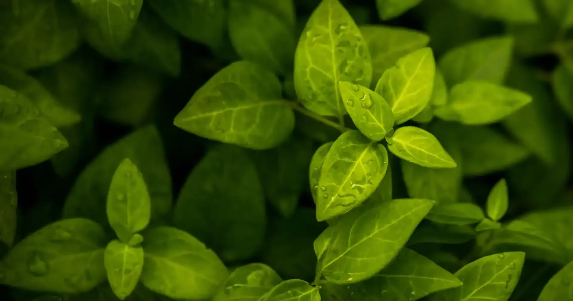 Contact Us — Inspire Health & Medical is Here to Help You!